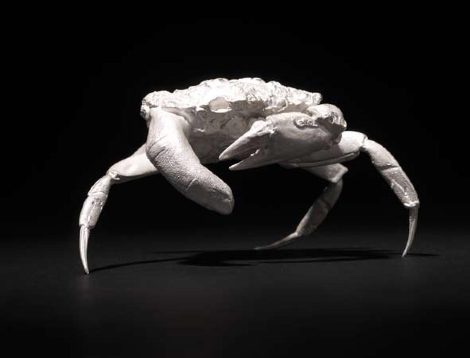 Dorothy Cross - Artists - Kerlin Gallery