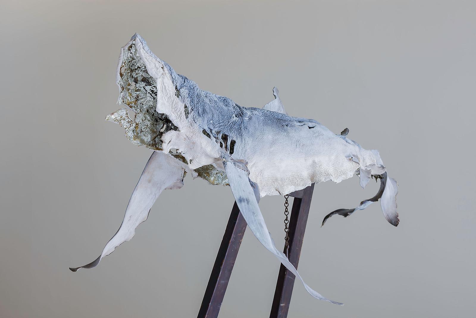 Dorothy Cross - Exhibitions - Kerlin Gallery